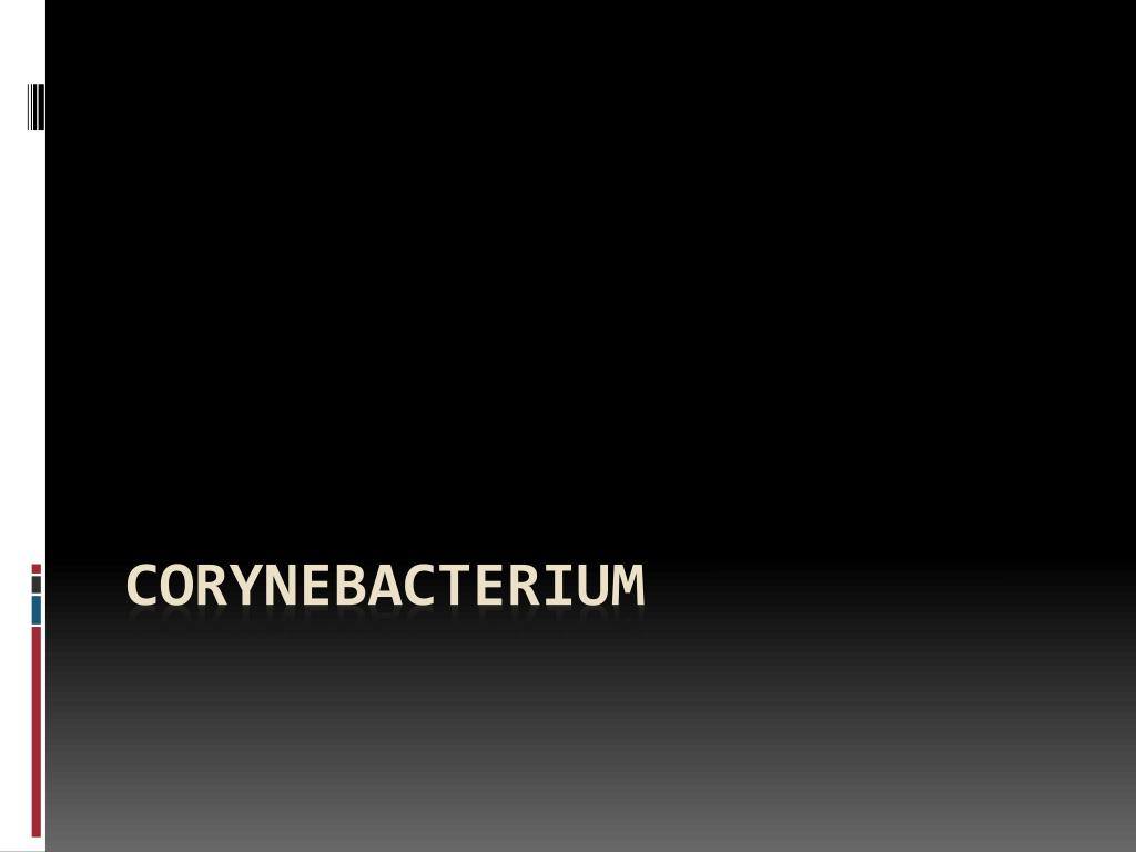 PPT - Corynebacterium PowerPoint Presentation, free download - ID:981267