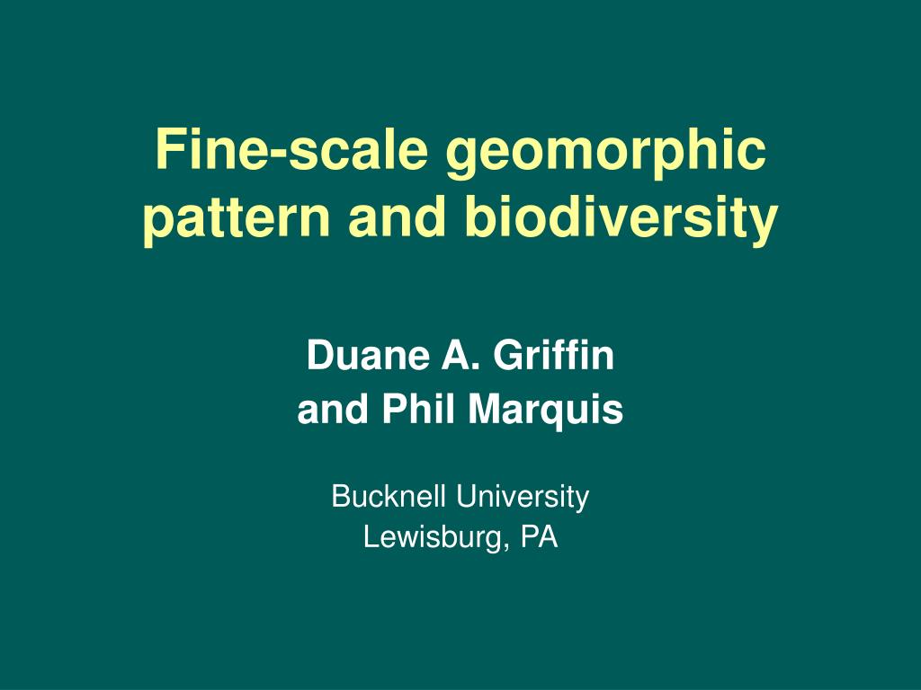 PPT - Fine-scale geomorphic pattern and biodiversity PowerPoint ...