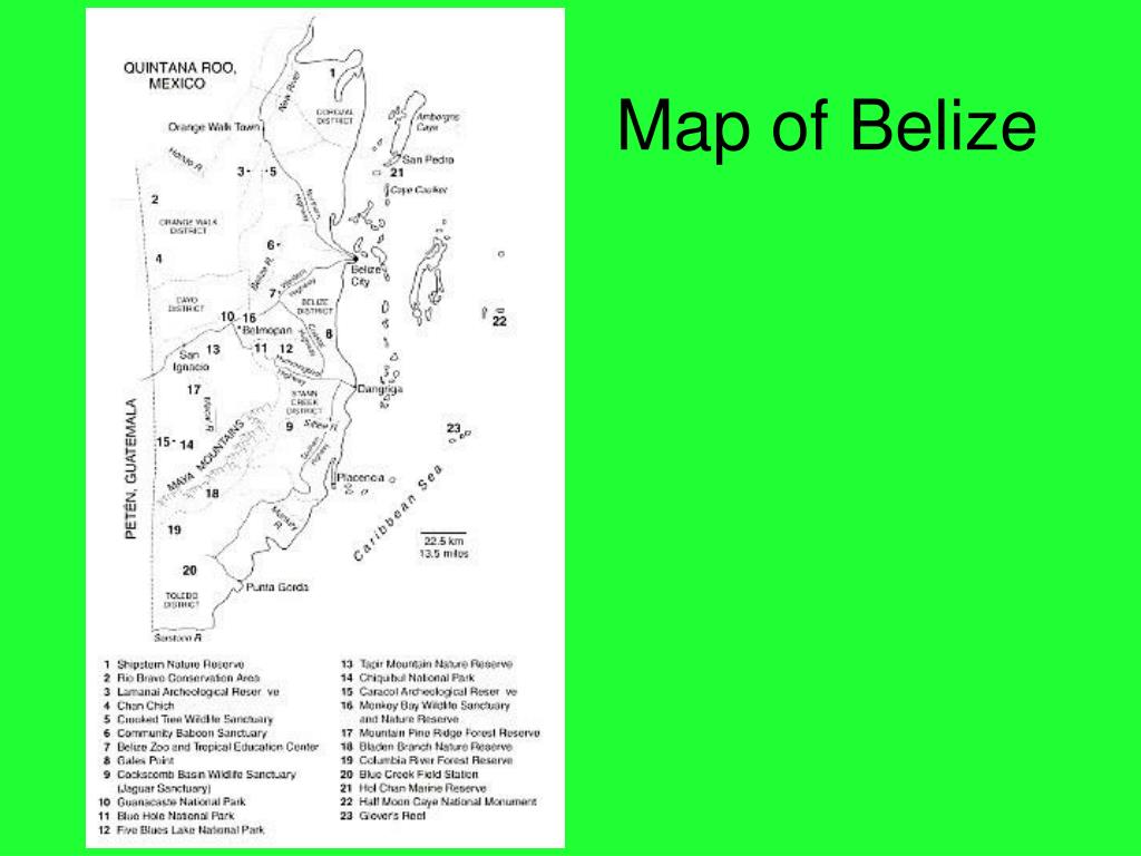 PPT - Map of Belize PowerPoint Presentation, free download - ID:982141
