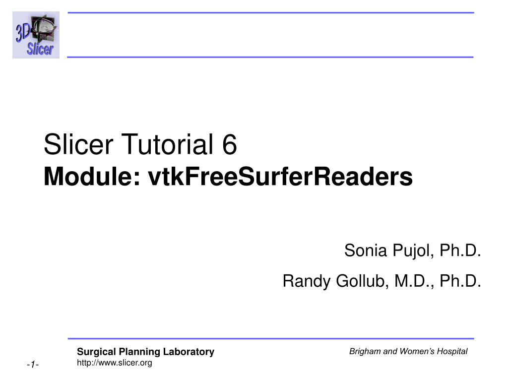 PPT - Slicer Tutorial 6 Module: vtkFreeSurferReaders PowerPoint ...