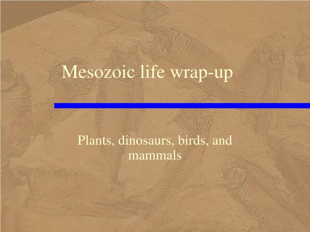 PPT - Mesozoic life wrap-up PowerPoint Presentation, free download - ID ...