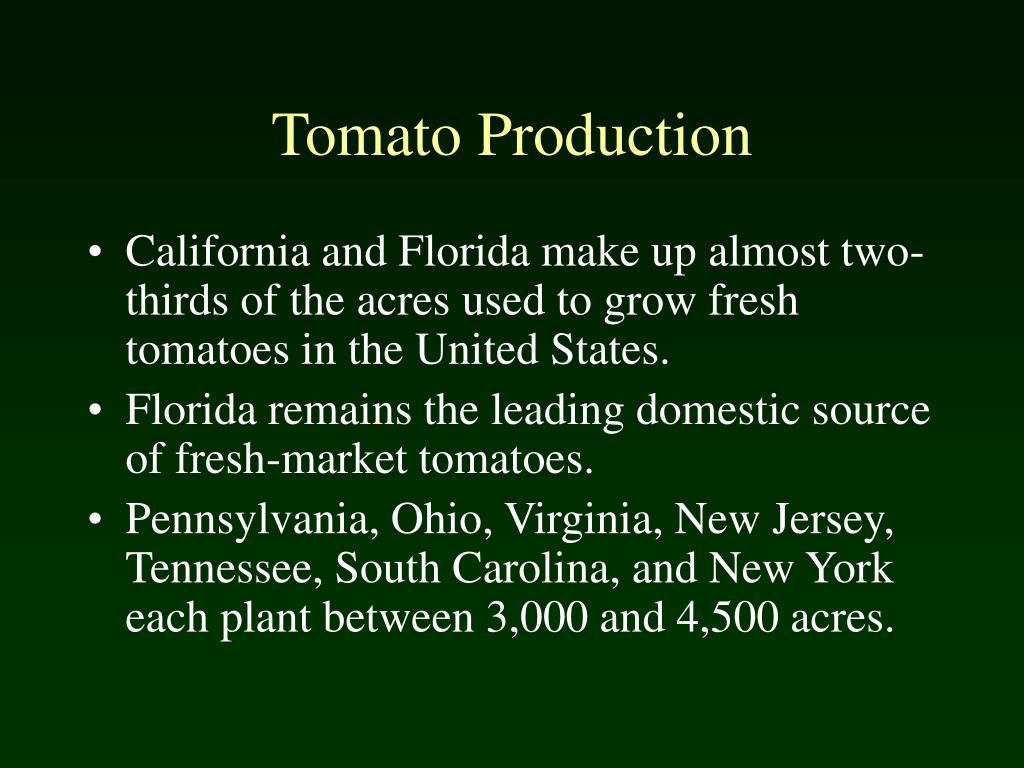 PPT - Tomato Production PowerPoint Presentation, free download - ID:986082