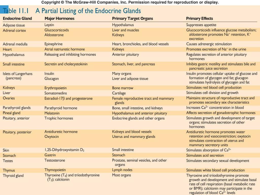 PPT - Chemical Classification of Hormones (continued) PowerPoint ...