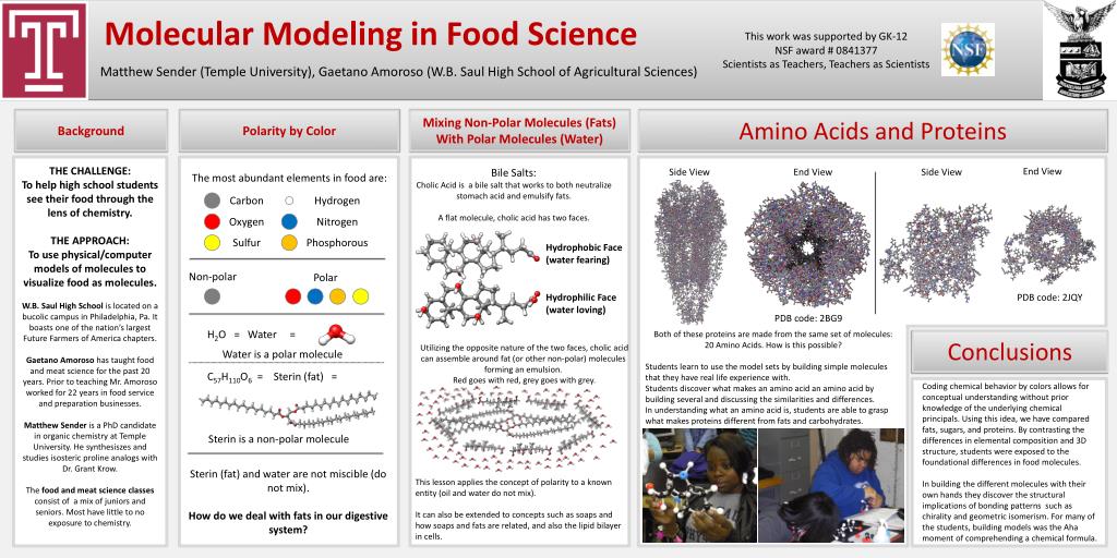 PPT - Molecular Modeling in Food Science PowerPoint Presentation, free ...