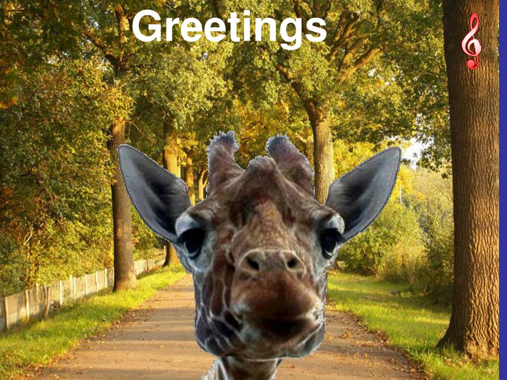 PPT - Greetings PowerPoint Presentation, free download - ID:988743