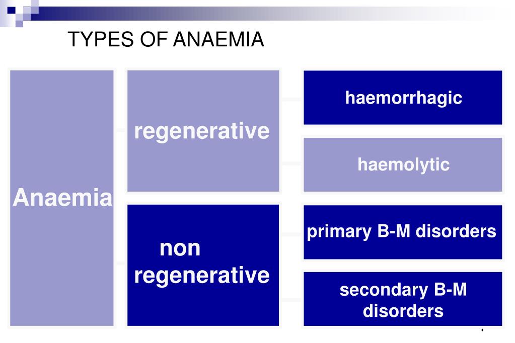 PPT - TYPES OF ANAEMIA PowerPoint Presentation, free download - ID:989039