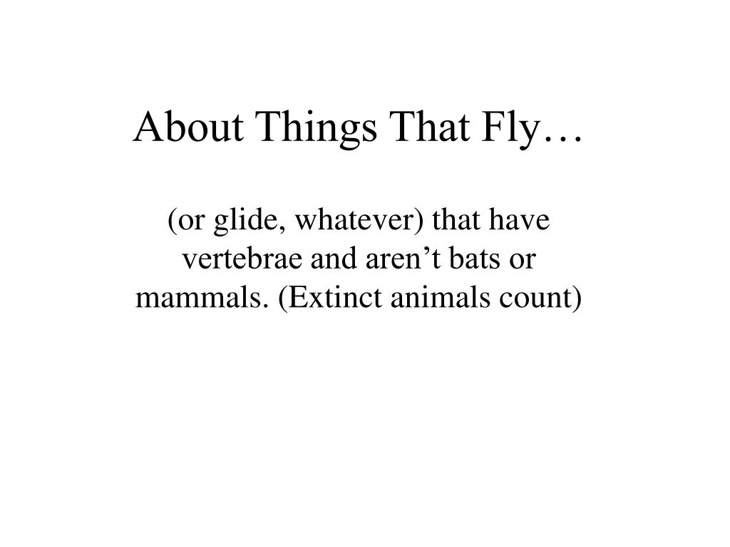 PPT - About Things That Fly… PowerPoint Presentation, free download ...