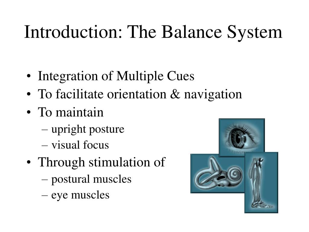 PPT - Introduction: The Balance System PowerPoint Presentation, free ...