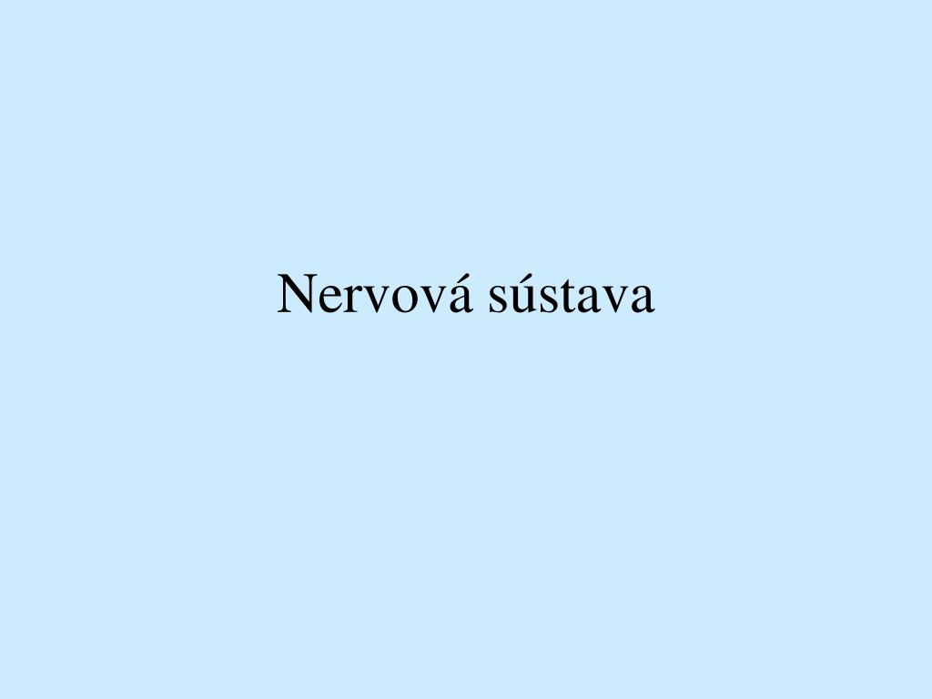 PPT - Nervová sústava PowerPoint Presentation, free download - ID:991768