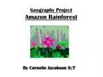 PPT - The Amazon Rainforest by: Karen Marshall PowerPoint Presentation ...