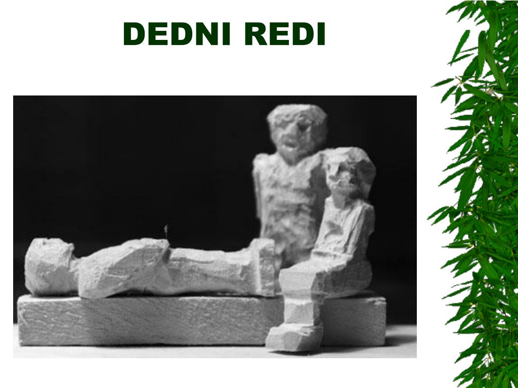 PPT - DEDNI REDI PowerPoint Presentation, free download - ID:993202
