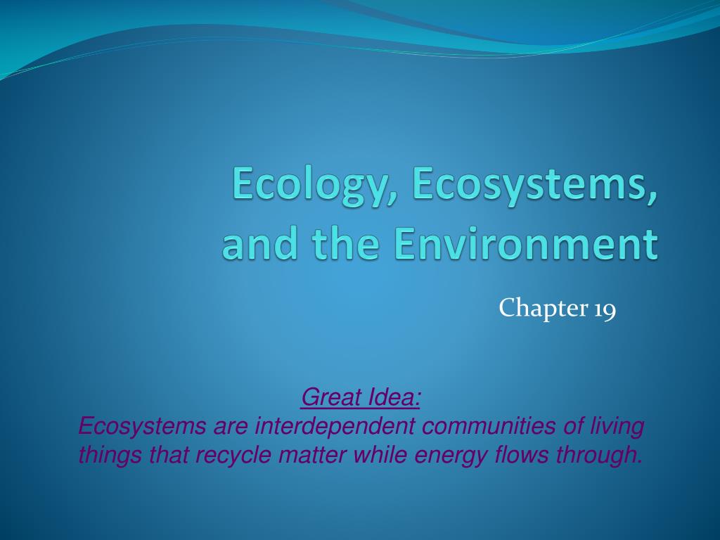 PPT - Ecology, Ecosystems, and the Environment PowerPoint Presentation ...