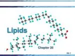 PPT - Lipids PowerPoint Presentation, free download - ID:1273316