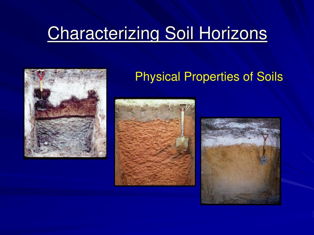 PPT - Understanding Soil Horizons: Keys to Soil Composition and ...