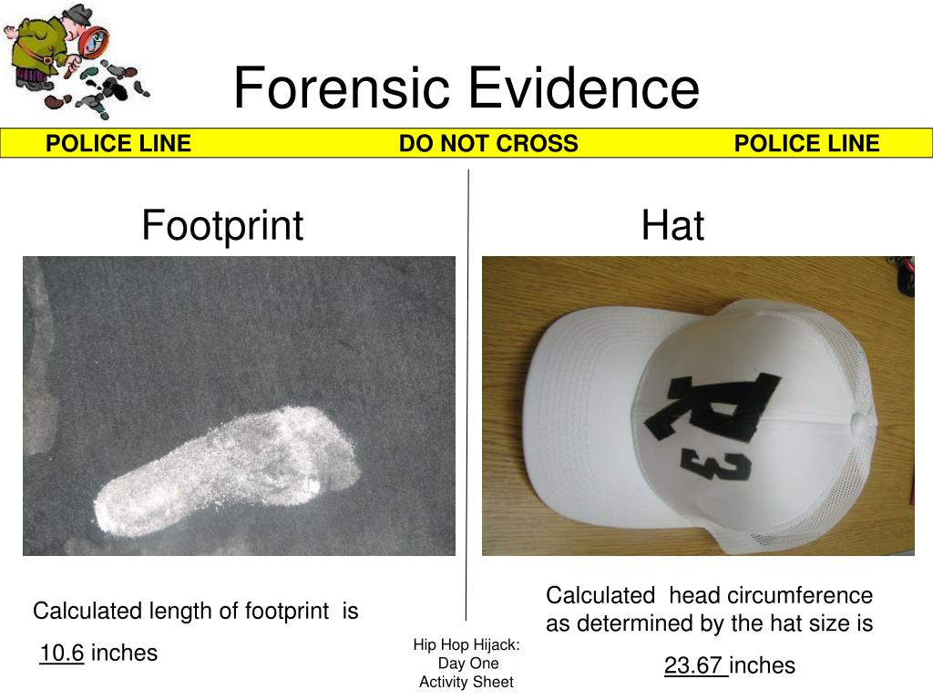 PPT - Forensic Evidence PowerPoint Presentation, free download - ID:99585