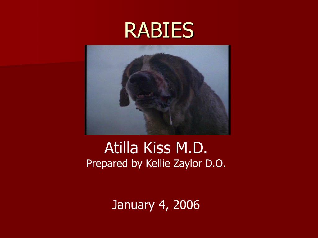 PPT - RABIES PowerPoint Presentation, free download - ID:99703